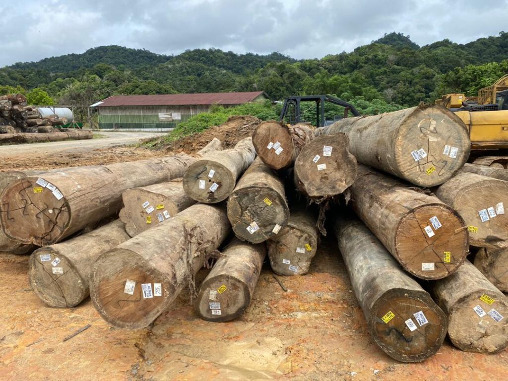 Jaya Tiasa Holdings Berhad – Leading & Acknowledged for Quality Oil Palm and Wood Based Products